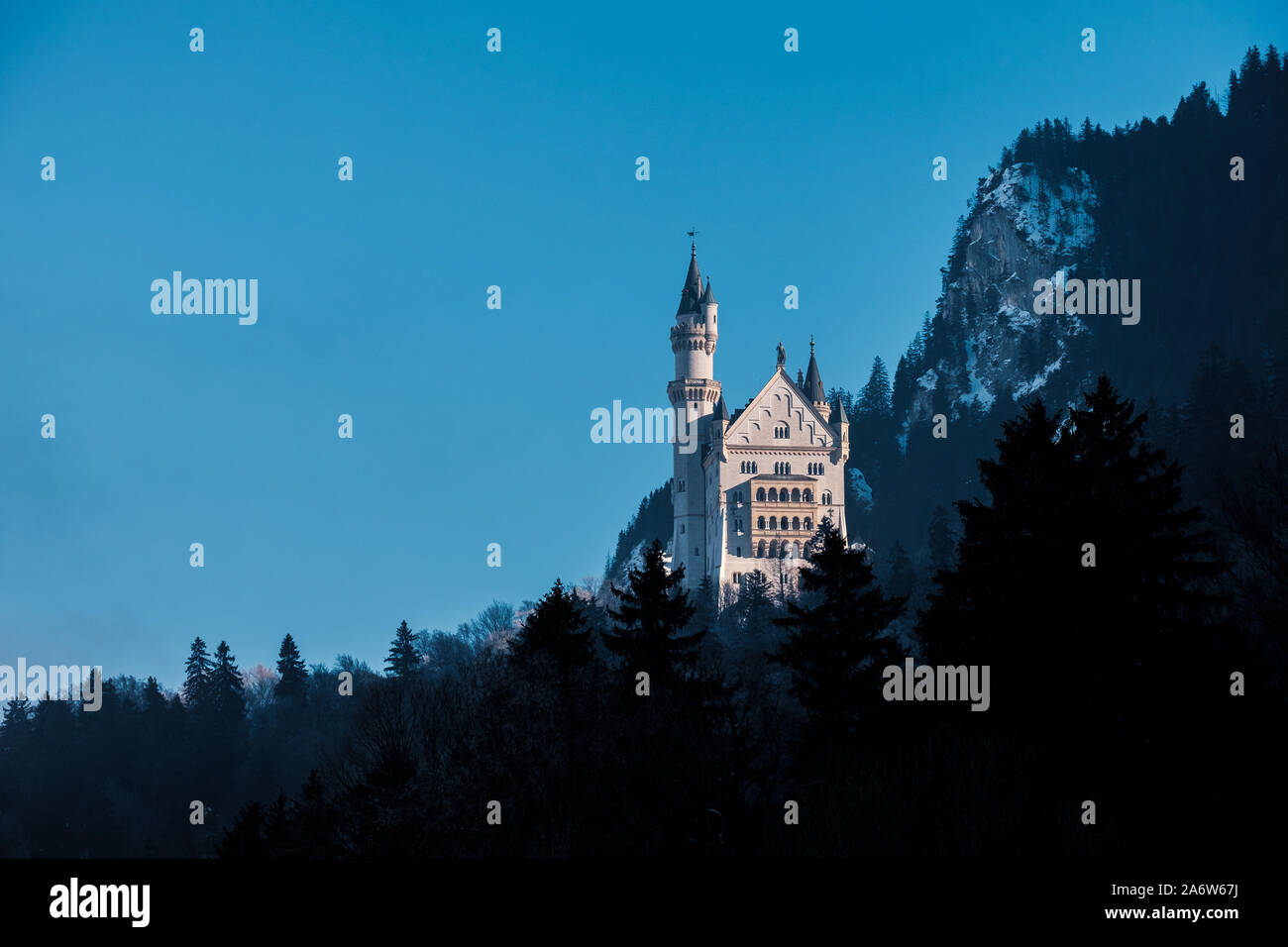 Castle Neuschwanstein in beautiful landscape, wide Stock Photo - Alamy