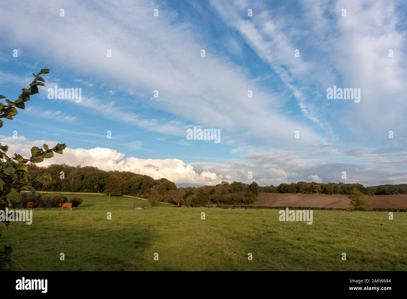 fading evening October light in a panorama view of Yorkshire, England ...
