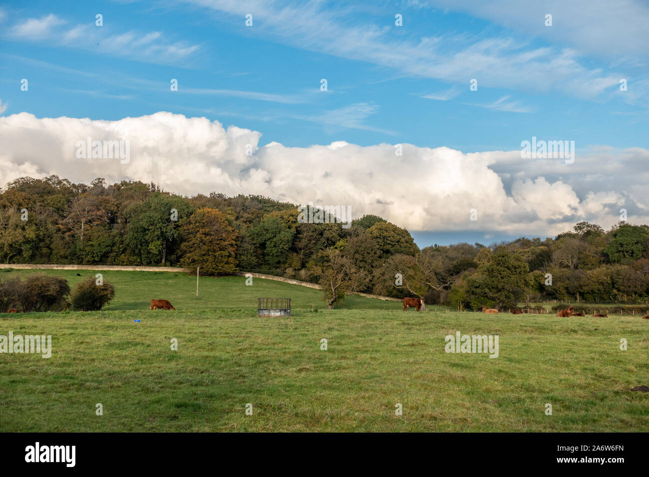 fading evening October light in a panorama view of Yorkshire, England ...