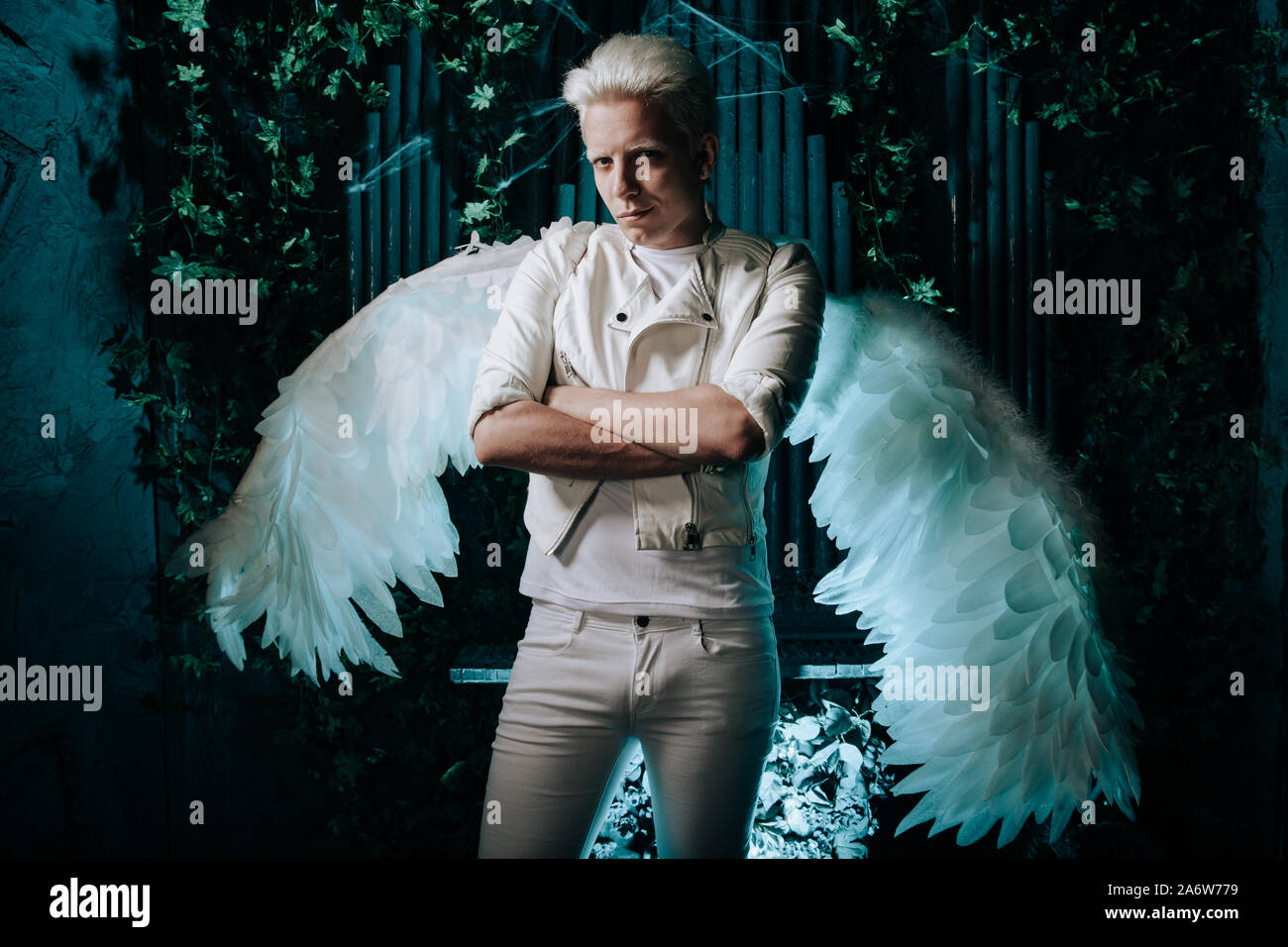 A portrait of a man with big feathered wings against a dark background ...