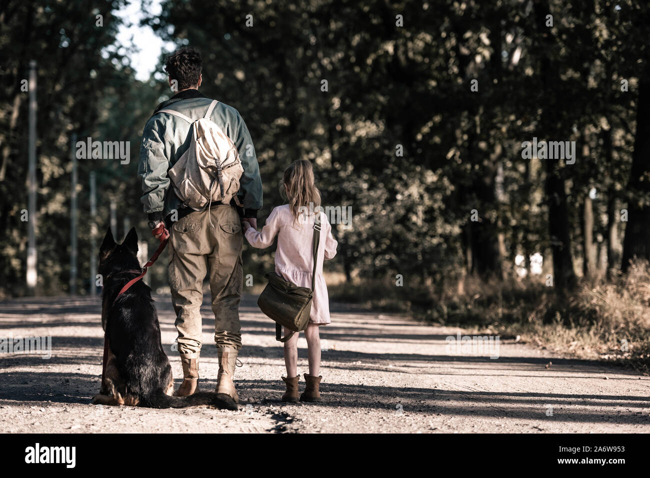 back view of man holding hands with kid near german shepherd dog, post ...