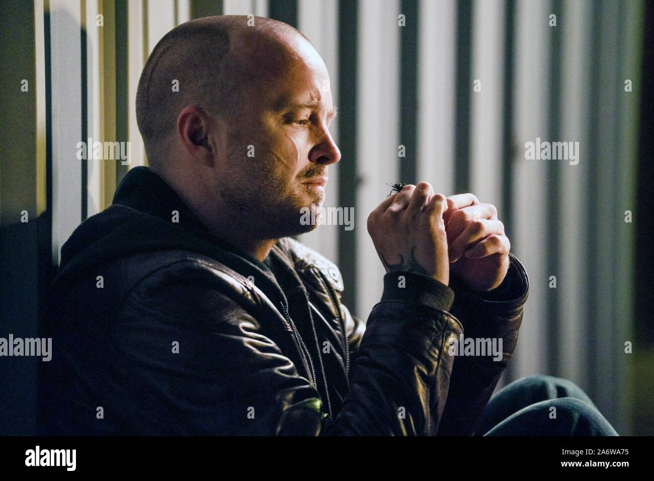 EL CAMINO: A BREAKING BAD MOVIE, Aaron Paul, 2019. ph: Ben Rothstein ...