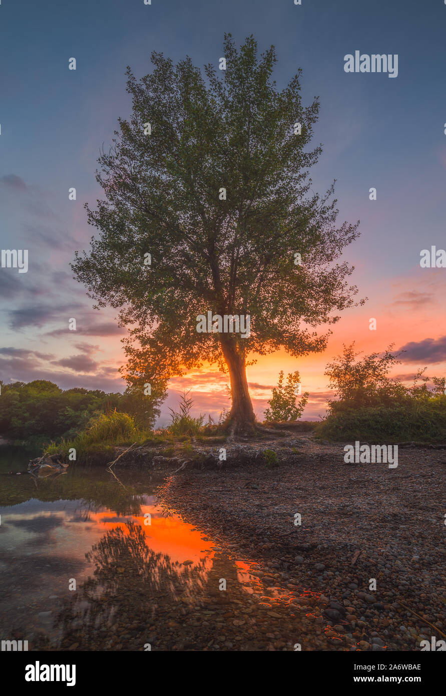 Bushy shore hi-res stock photography and images - Alamy