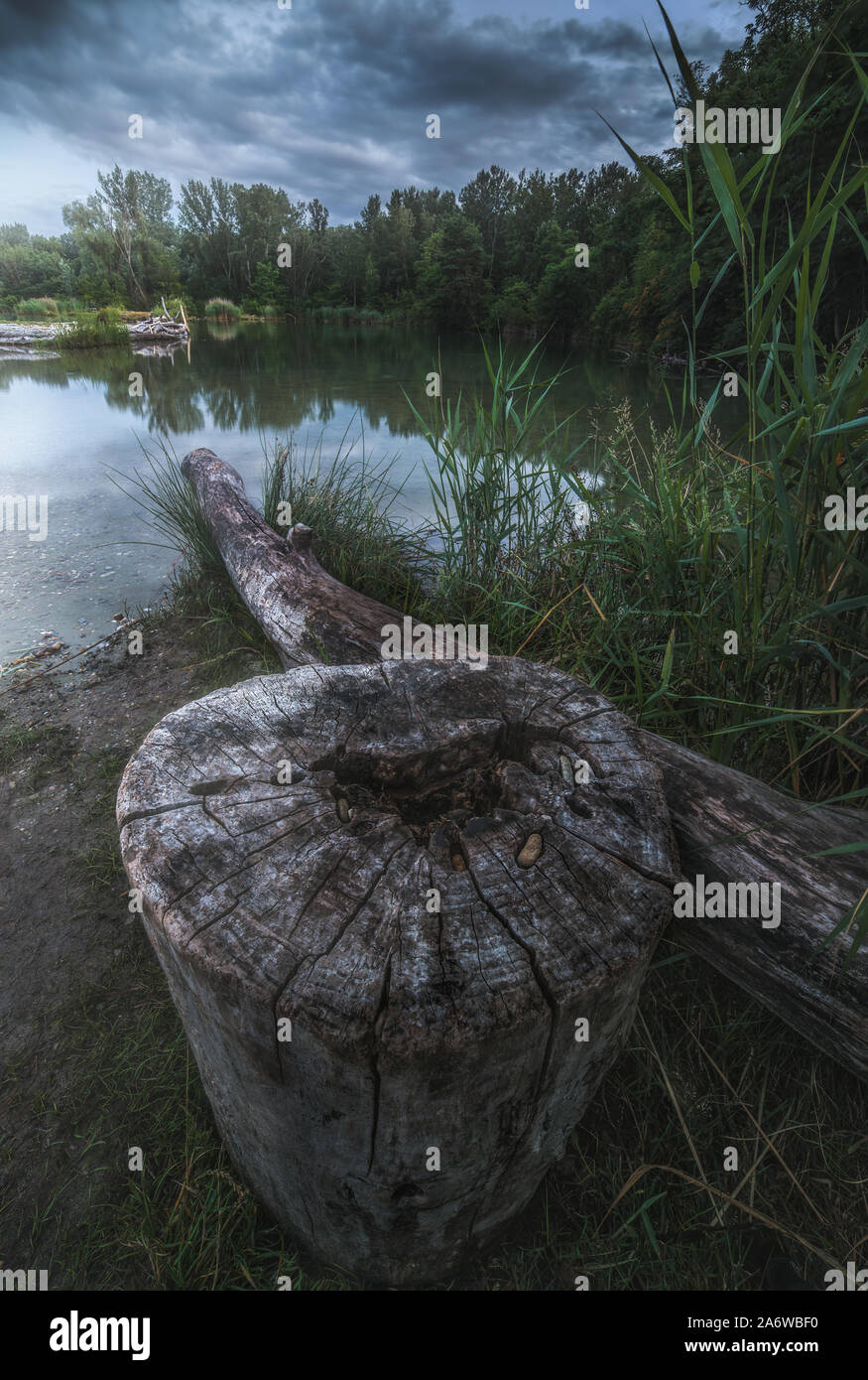 Night Landscape with the Tree Stump by the Lake Lit by the Shining Moon ...