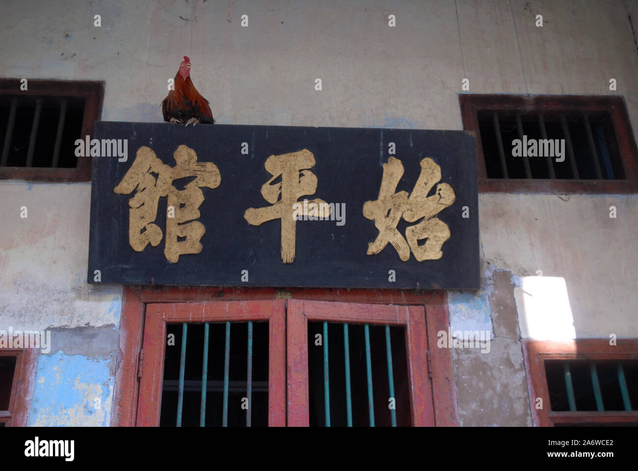 Chicken stood on door sign, Yangon, Myanmar Stock Photo - Alamy