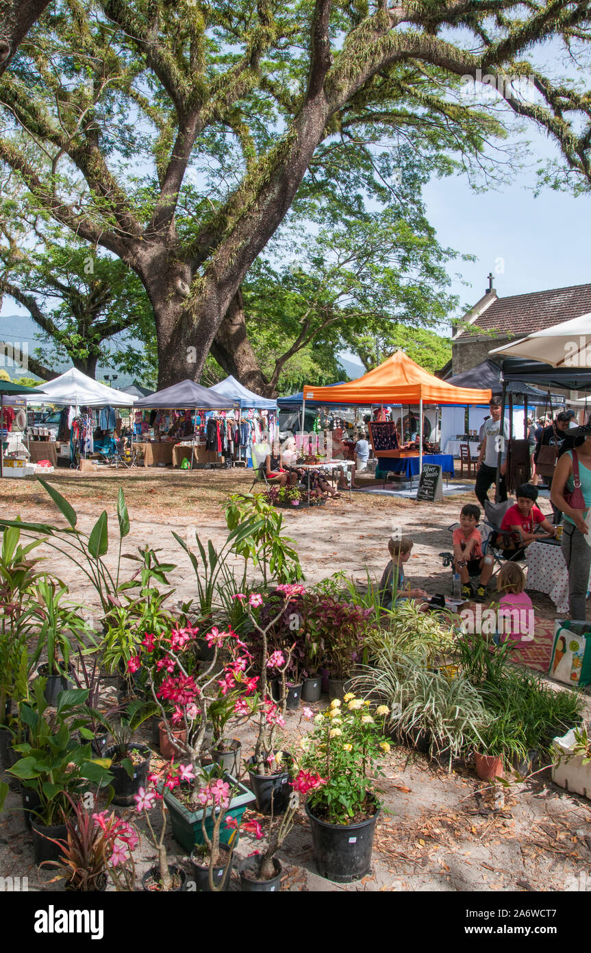 Saturday morning community market at Mossman, North Queensland ...