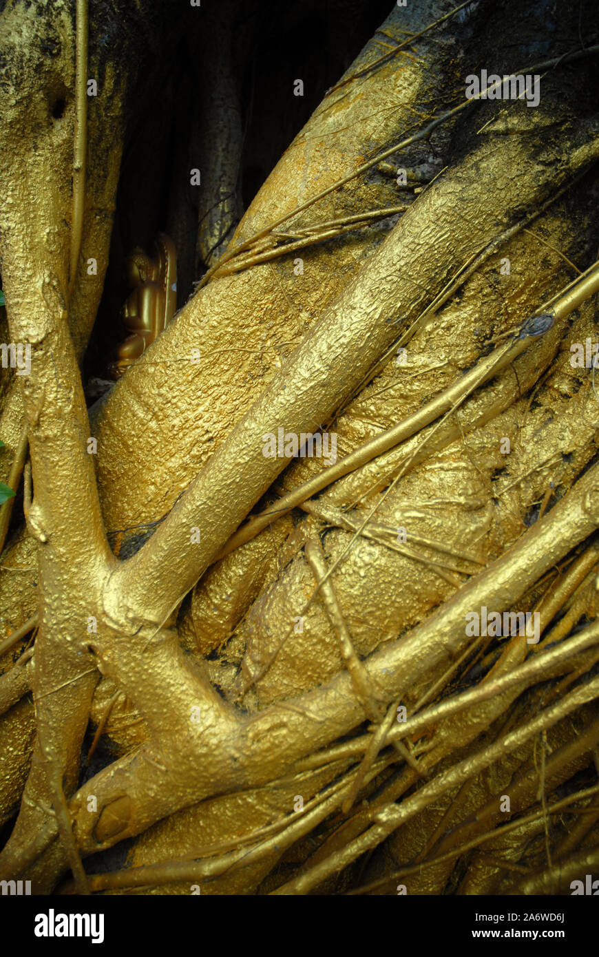 Gold Painted tree, Yangon, Myanmar, Asia Stock Photo - Alamy