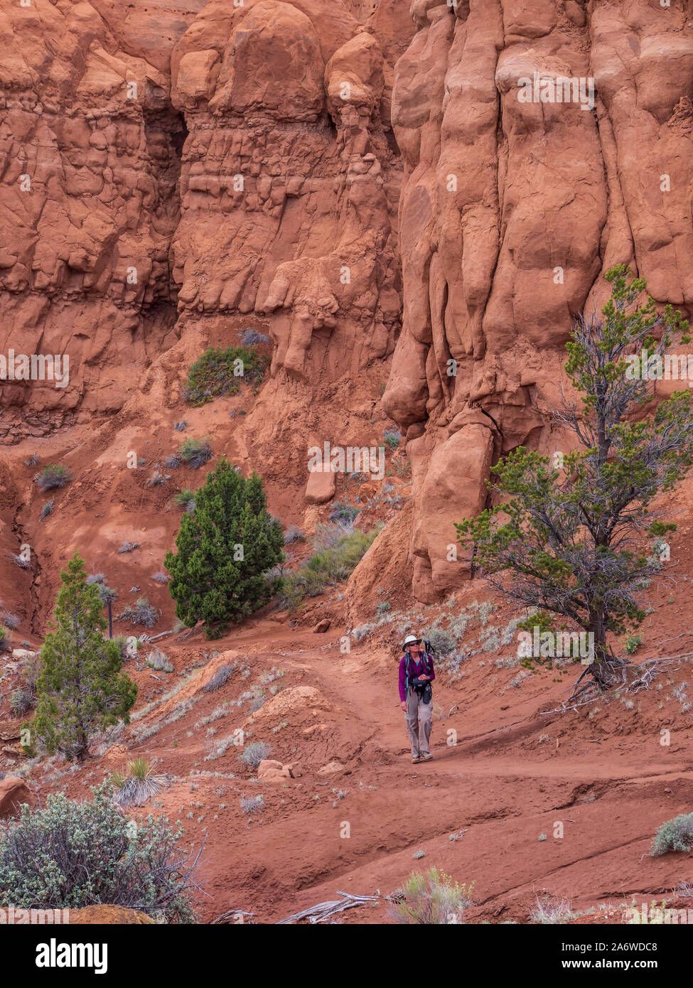 Hiker on the Shakespeare Arch-Sentinel Trail, Kodachrome Basin State ...