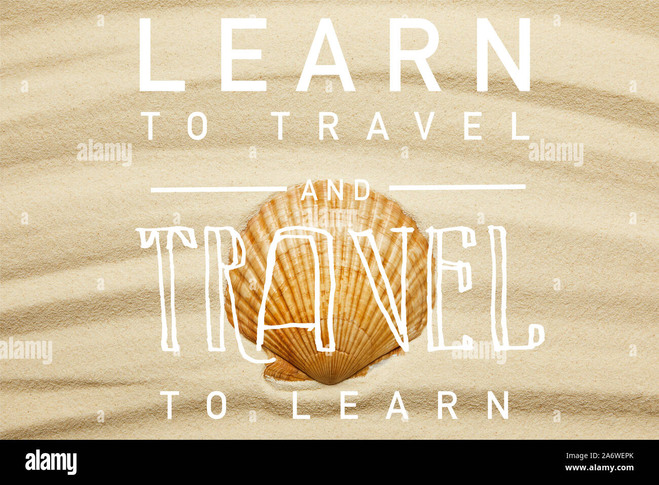 orange seashell on curve sandy beach in summertime with learn to travel ...