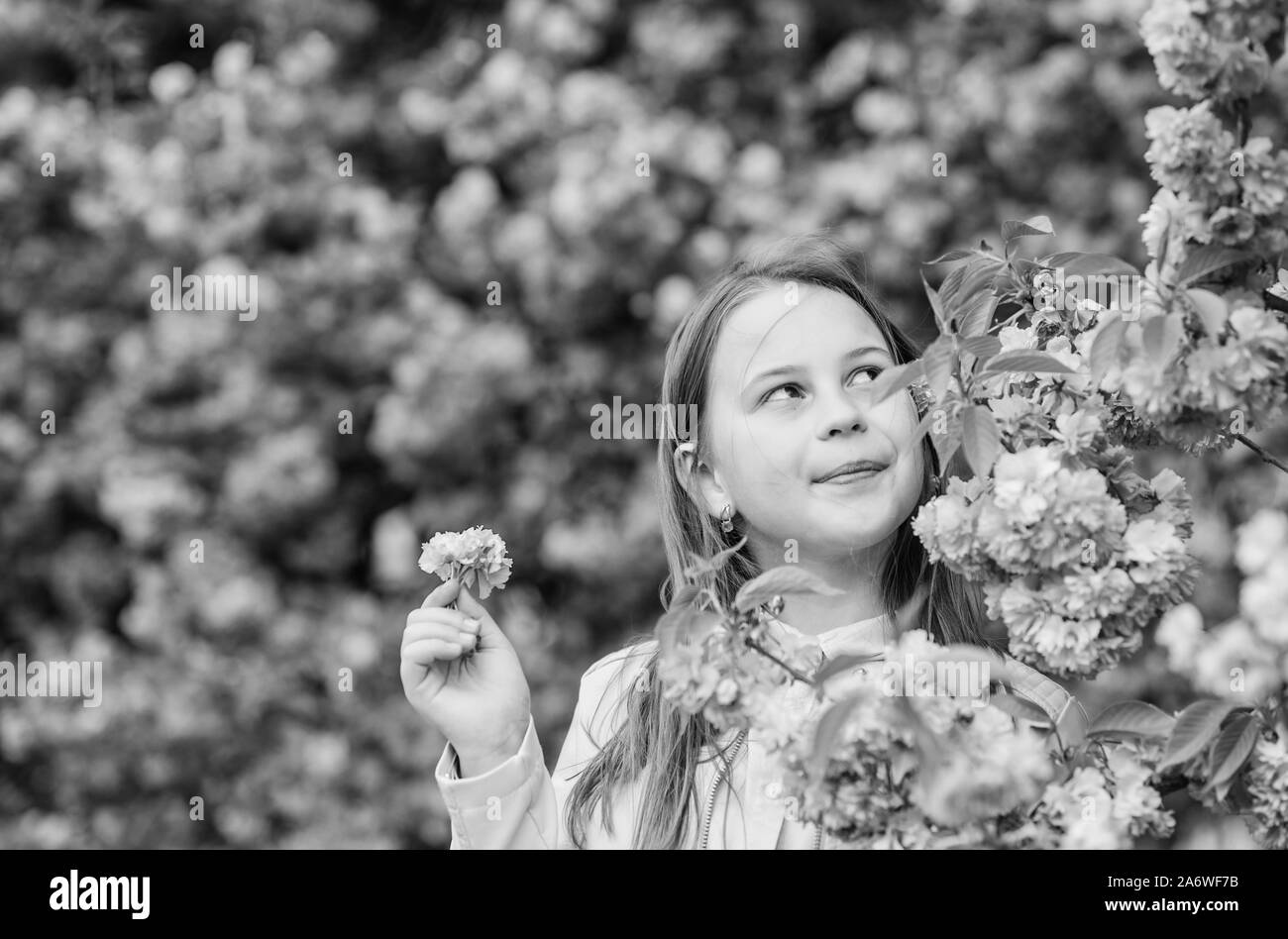 Pollen allergy concept. Kid enjoy cherry blossom sakura. Kid on pink ...