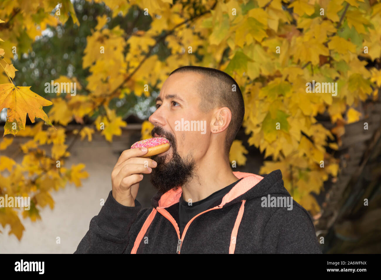 Doughnut donut hi-res stock photography and images - Alamy