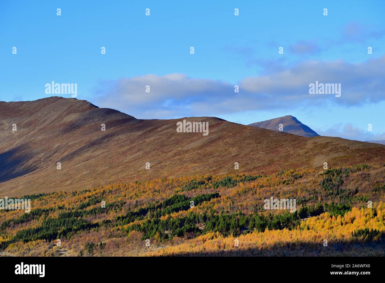 Akureyri, Iceland. Trees and fauna show off autumn colors on the ...