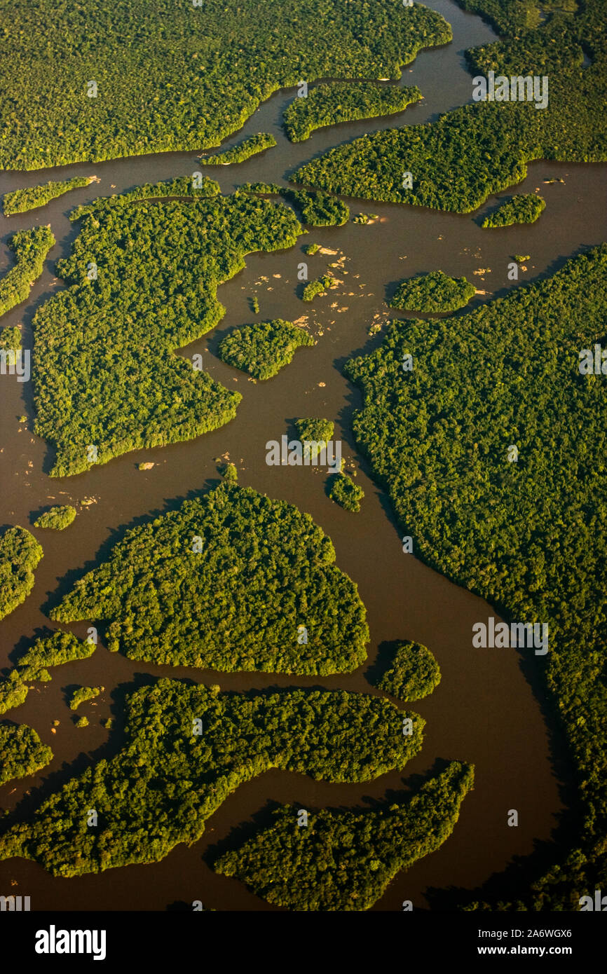 LOWLAND RIVER and rainforest, near Georgetown, Guyana, South America ...