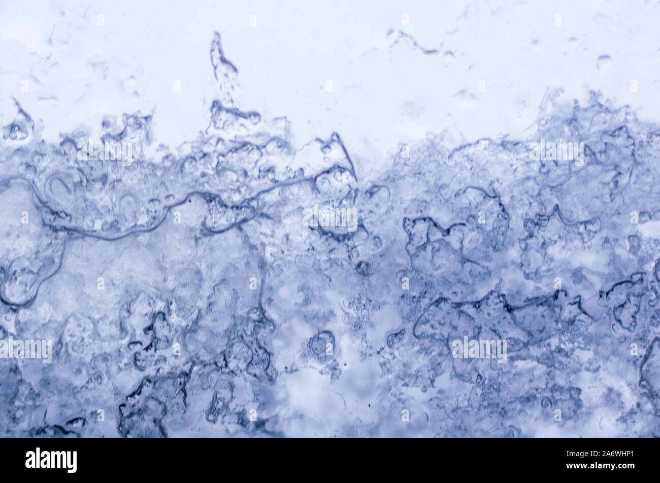 glass in the window covered with wet melting snow, close-up, macro ...