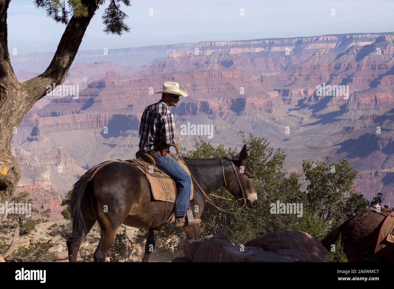 Arizona boots cowboy hi-res stock photography and images - Alamy