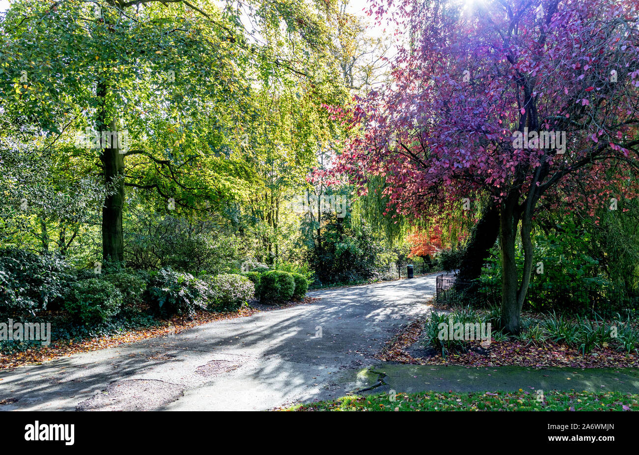 Waterlow park hi-res stock photography and images - Alamy