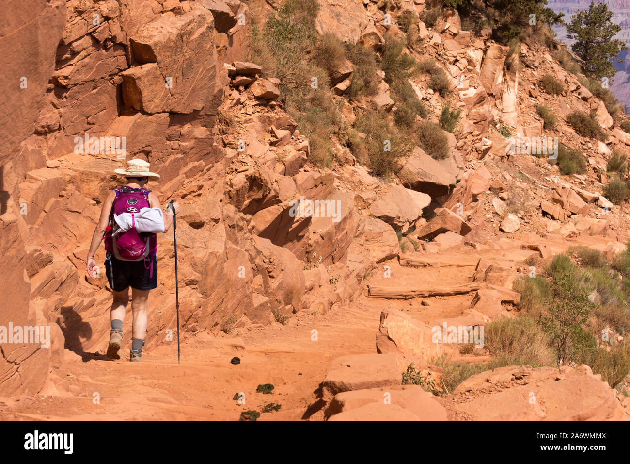 Woman hiking alone on the South Kaibab Trail in the Grand Canyon Stock ...