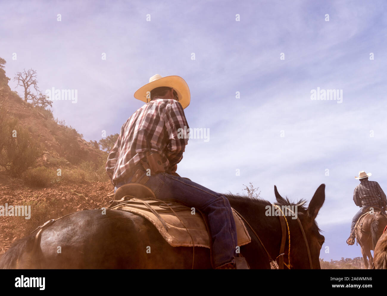 Two cowboys leading a mule train in the Grand Canyon looking up toward ...