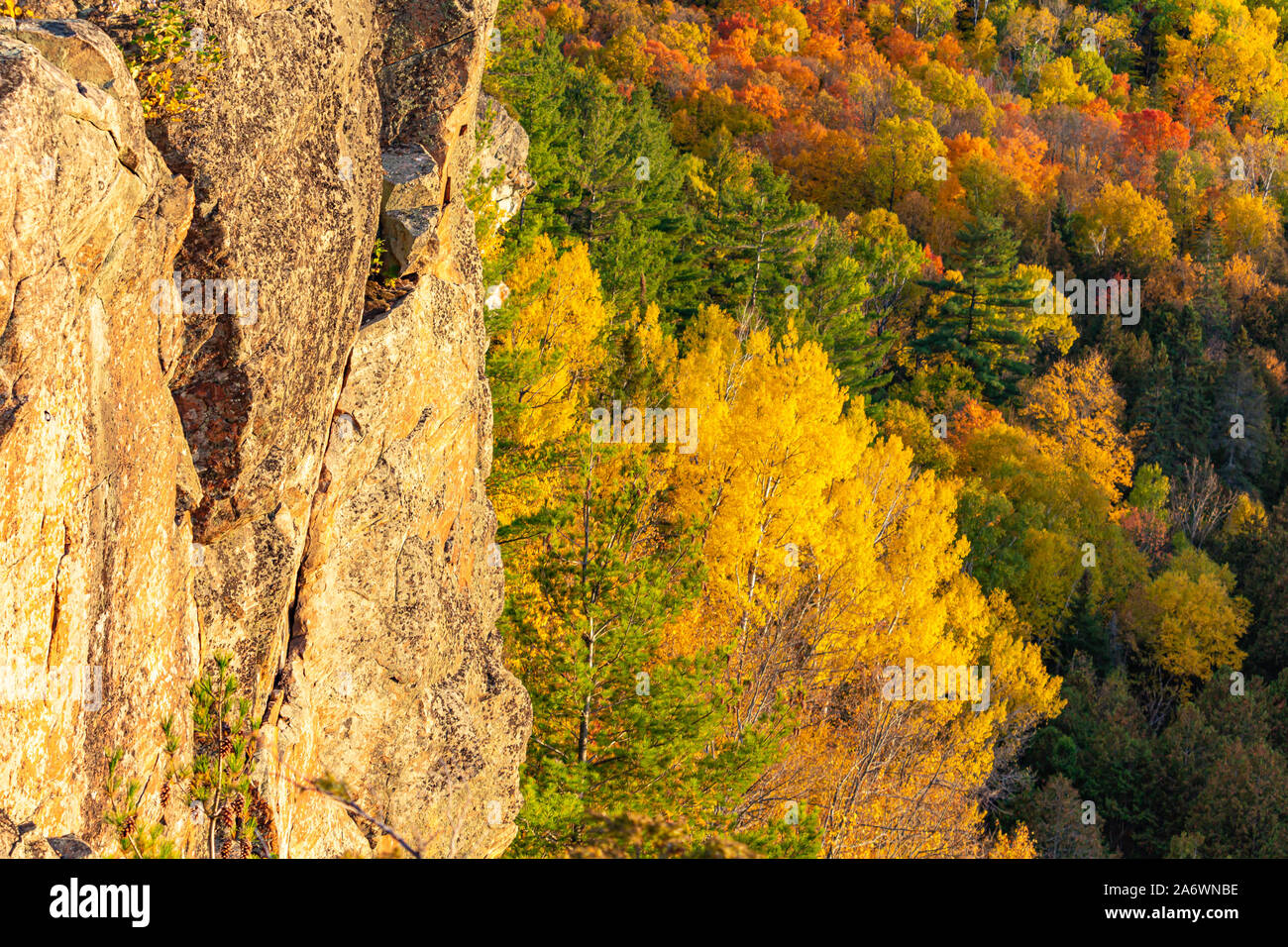 A tall stone cliff stands next to a mixed deciduous and coniferous ...