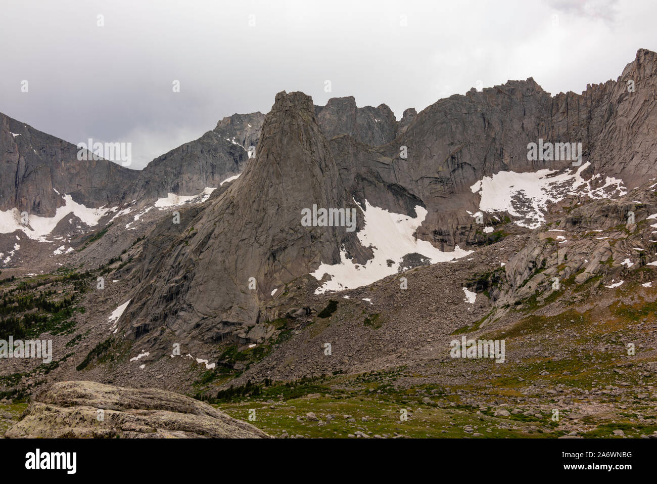 Skunk trail in snow hi-res stock photography and images - Alamy