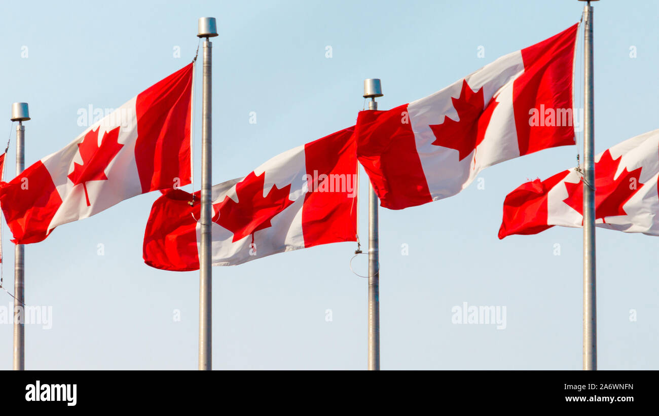 Many canadian flags on flagpoles hi-res stock photography and images ...