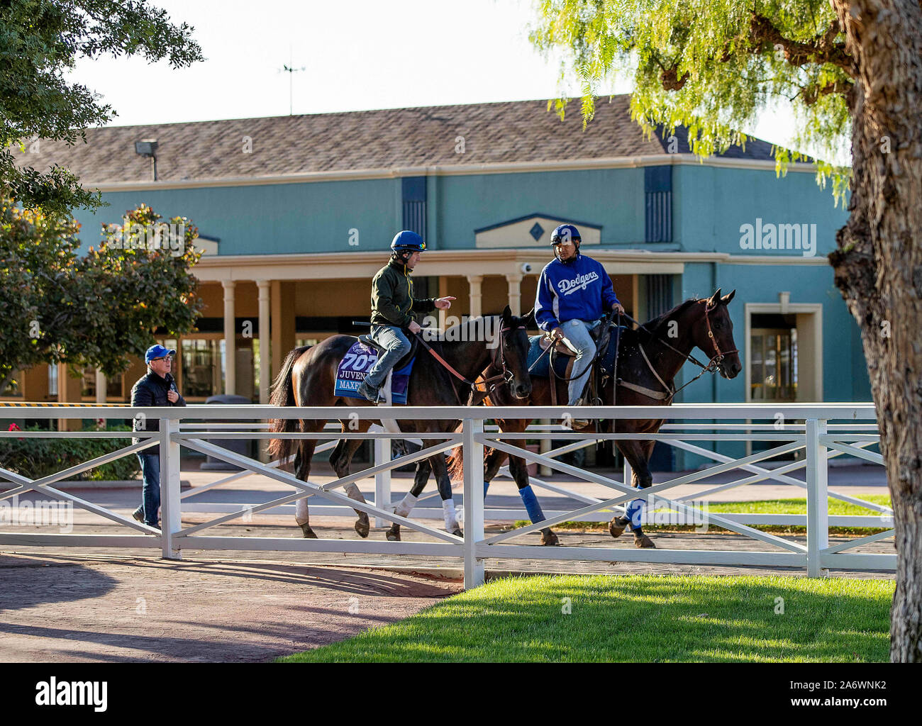Maxfield horse hi-res stock photography and images - Alamy