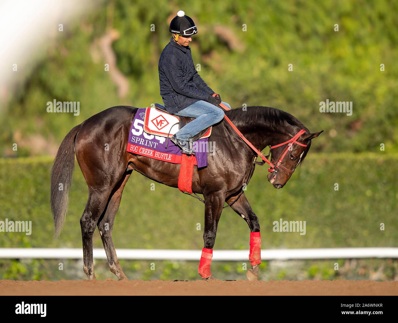 Vickie High Resolution Stock Photography and Images - Alamy