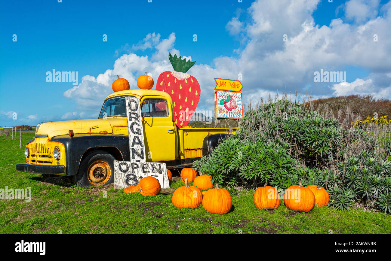 California, Santa Cruz County, Hwy 1, Swanton Berry Farm, farm truck ...
