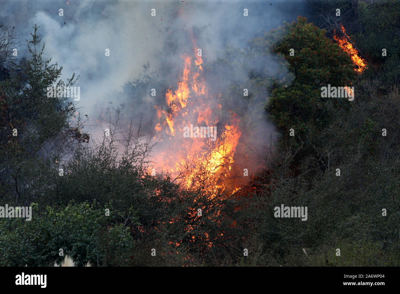 Los Angeles, USA. 28th Oct, 2019. A fire along the 405 Freeway in the ...