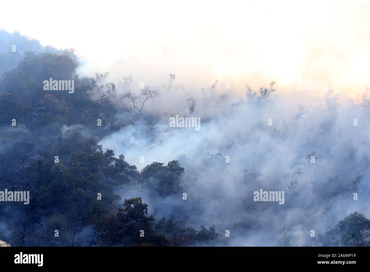 Los Angeles, USA. 28th Oct, 2019. A fire along the 405 Freeway in the ...