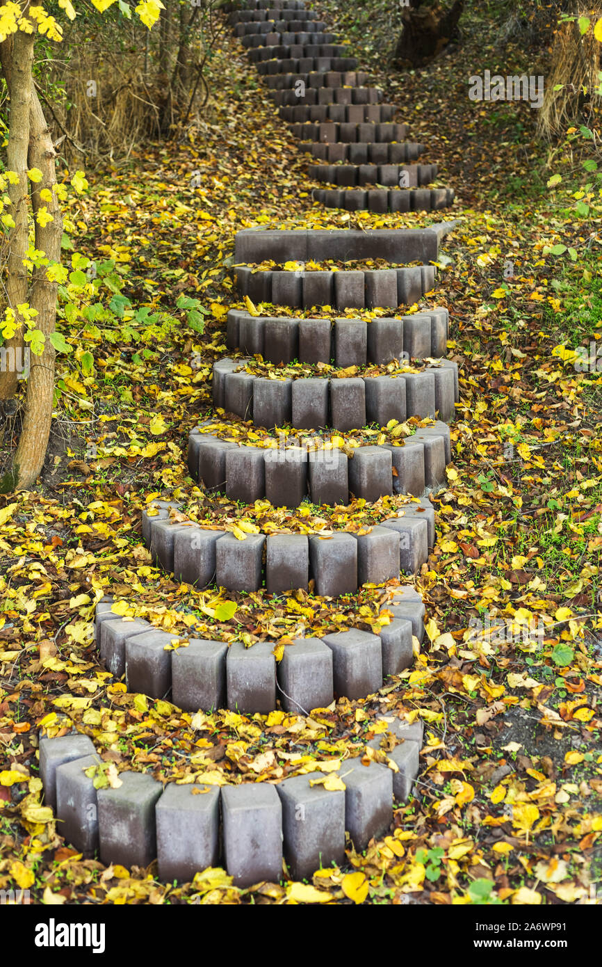 Autumn stair path, scene with stone steps stairs in autumn forest. The ... Autumn stair path, scene with stone steps stairs in autumn forest. The ...