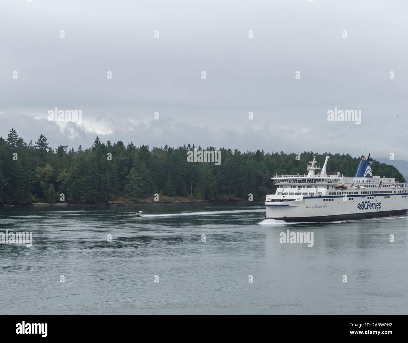 A small motor launch racing BC Ferries Spirit of Vancouver Island ...
