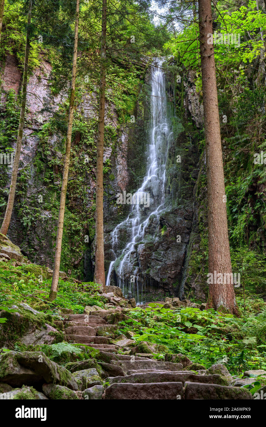 This waterfall in the Black Forest with over 30m in height is called ...