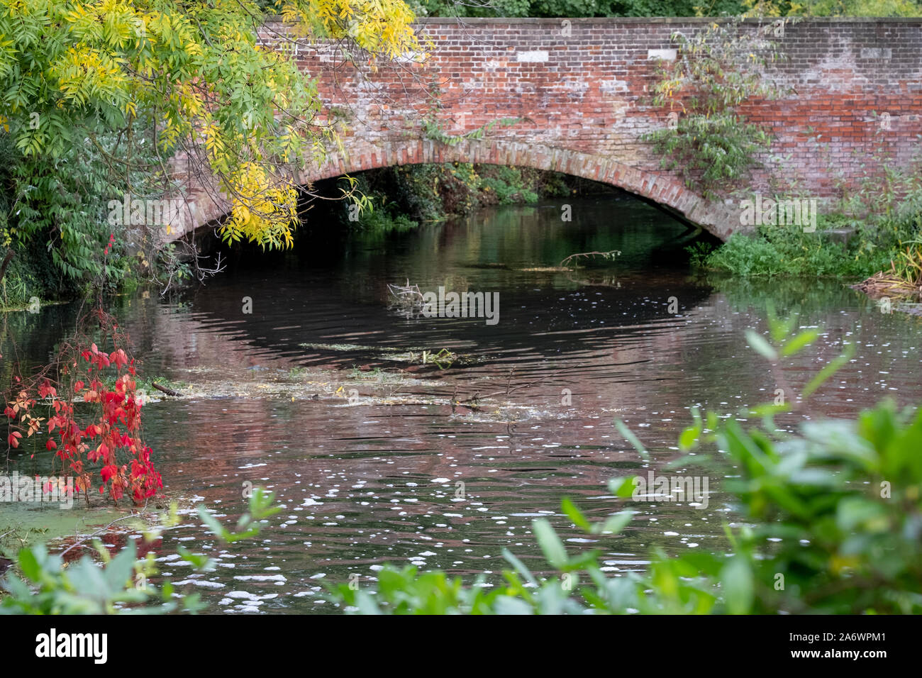 Bridge over the River Stour in Canterbury, Kent UK. Photographed in ...