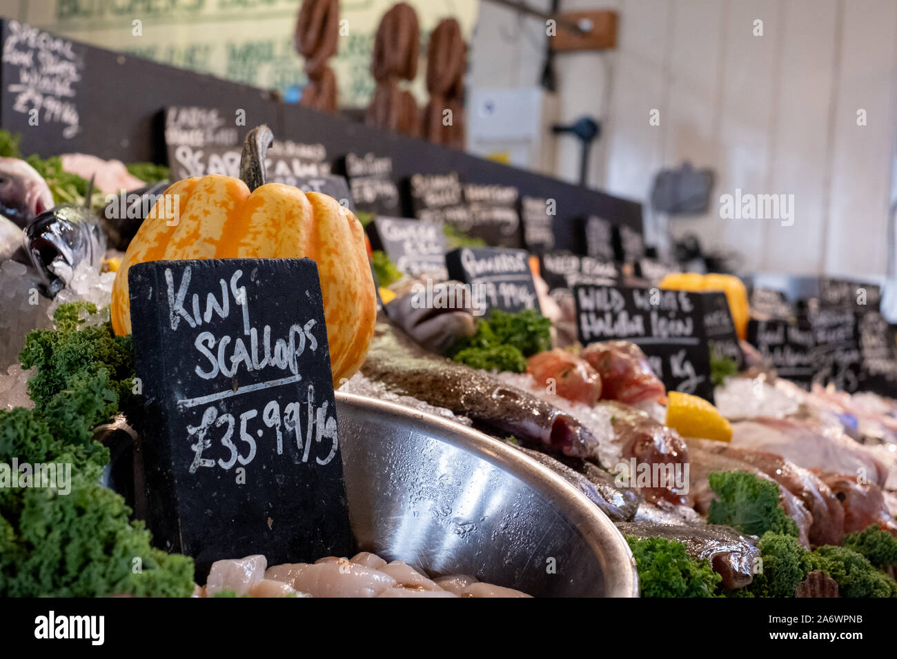 Fresh seafood and fish for sale at The Goods Shed, Canterbury farmers ...
