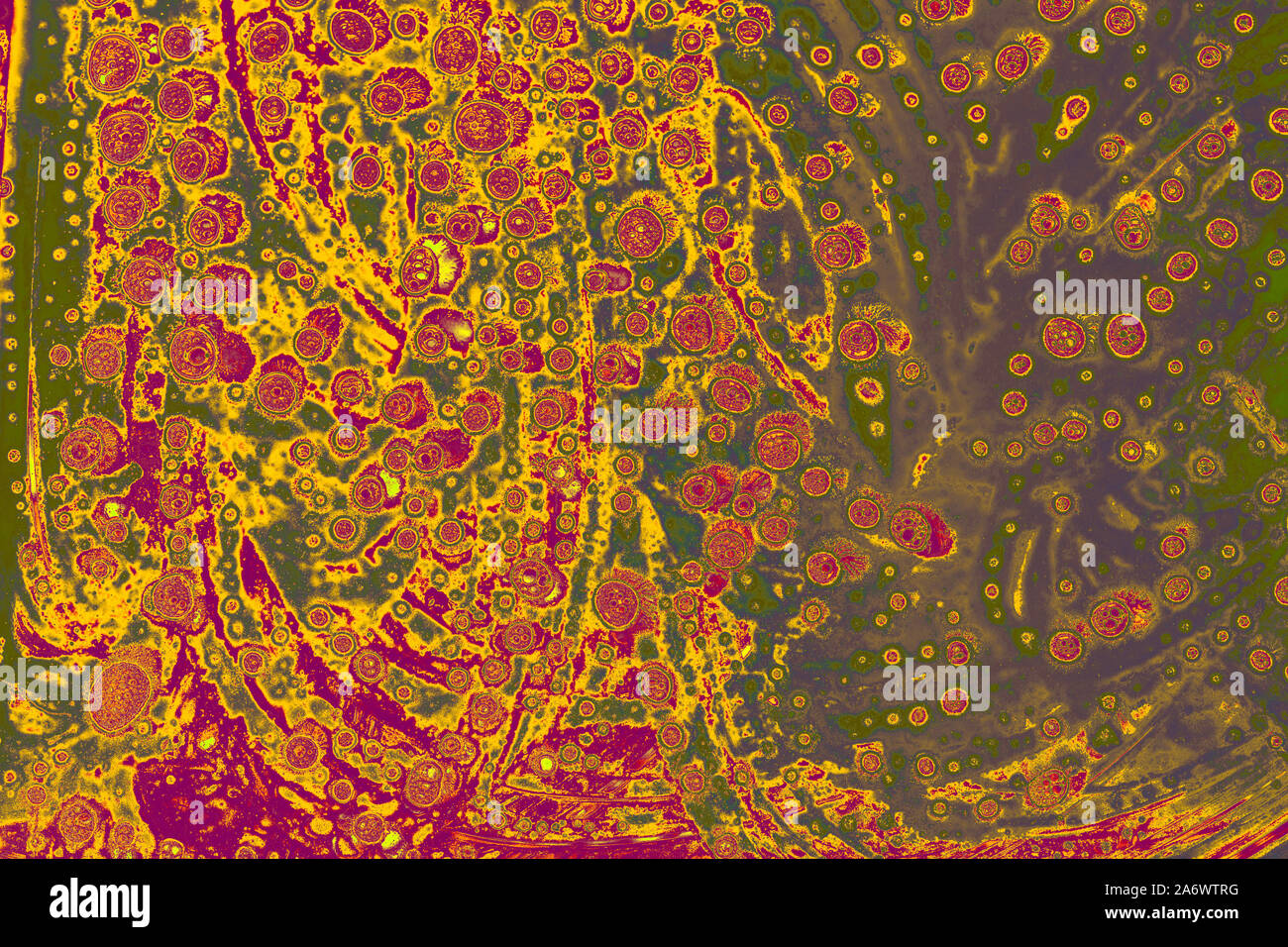 Air bubbles inside water base form patterns Stock Photo - Alamy
