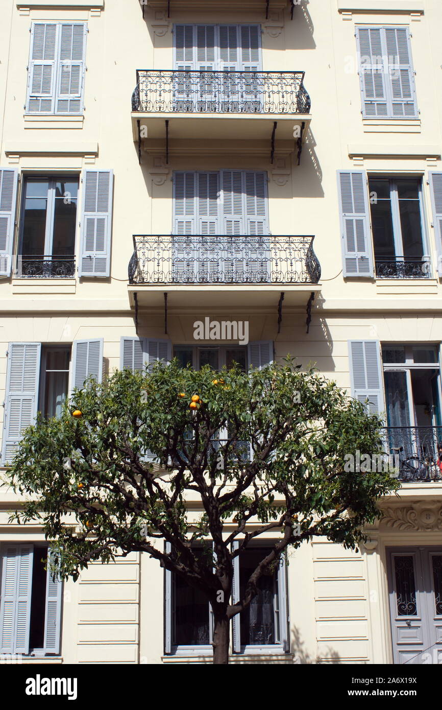 Seafront apartment building with orange tree in Nice, France Stock ...