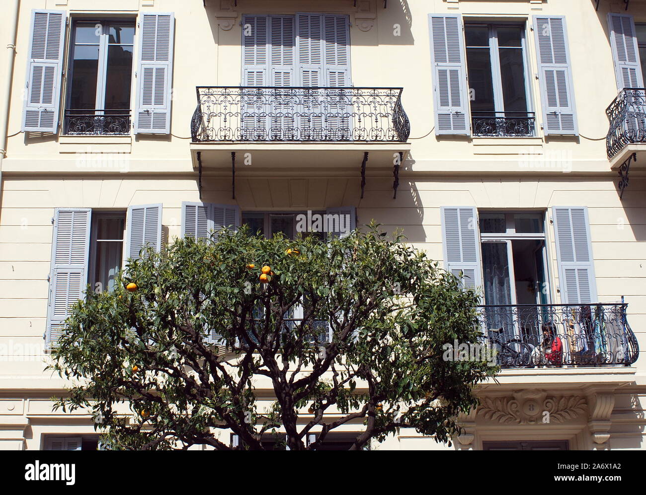 Seafront apartment building with orange tree in Nice, France Stock ...