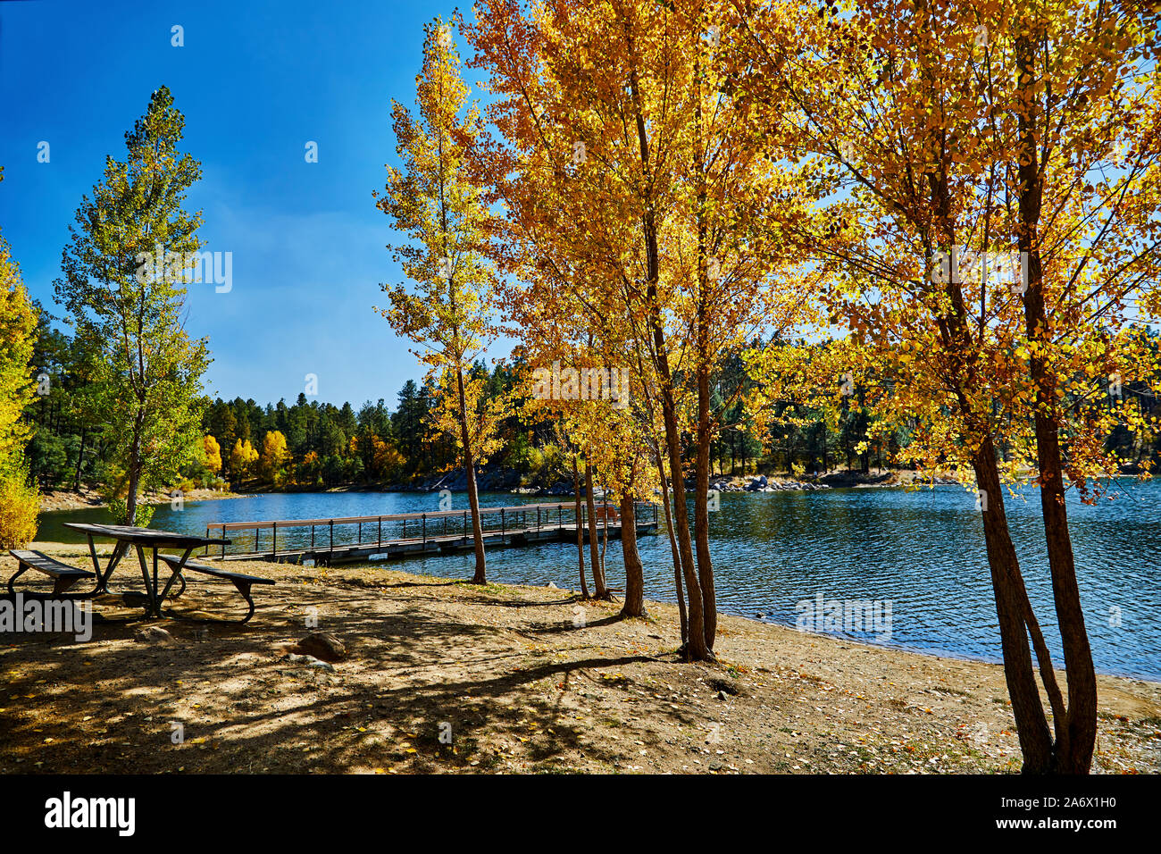 Goldwater lake with fall colored trees and leaves and a pier in ...