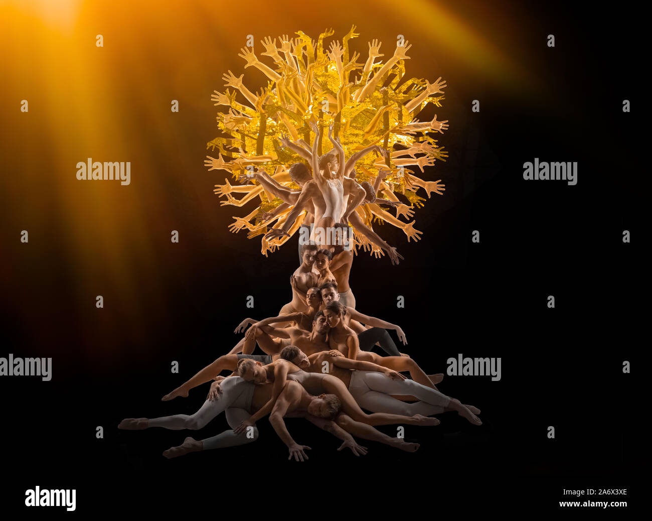 The group of modern ballet dancers like a tree. Contemporary art ballet ...