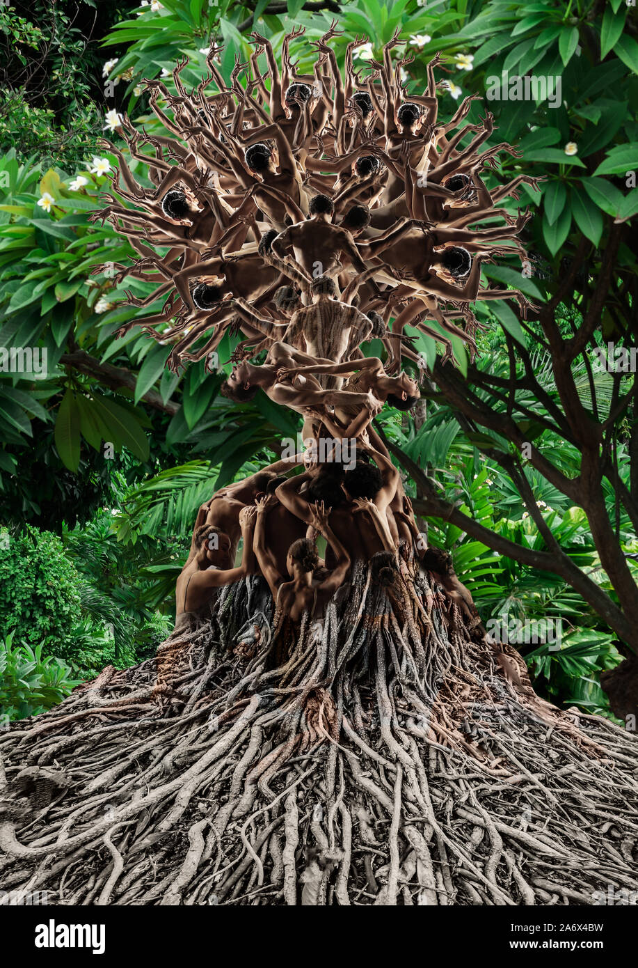 The group of modern ballet dancers like a tree. Contemporary art ballet ...