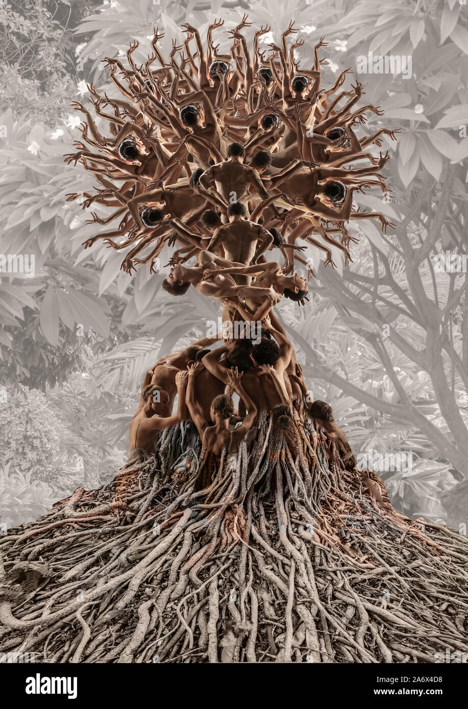 The group of modern ballet dancers like a tree. Contemporary art ballet ...
