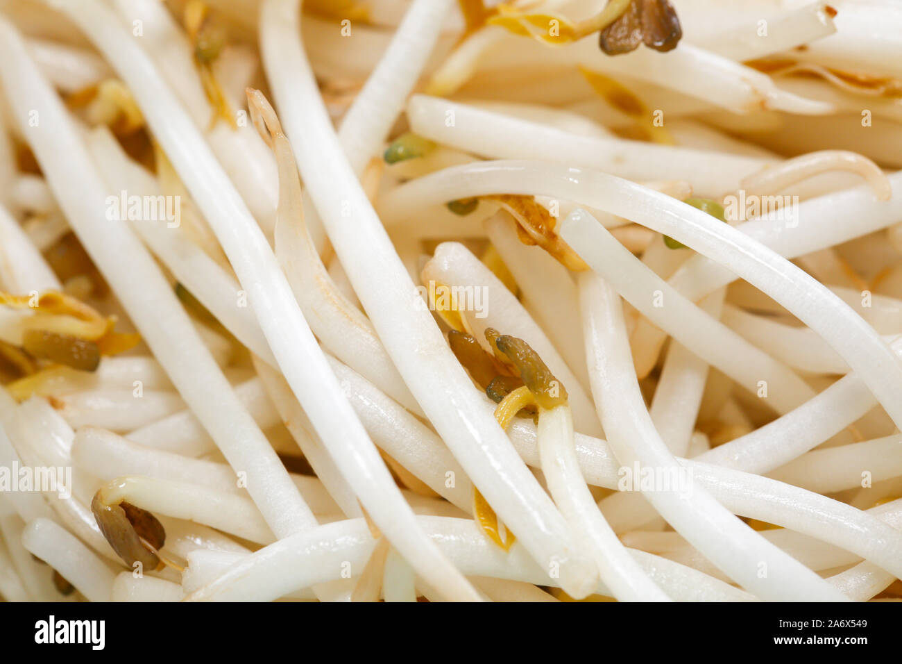 Sprouts closeup hi-res stock photography and images - Alamy
