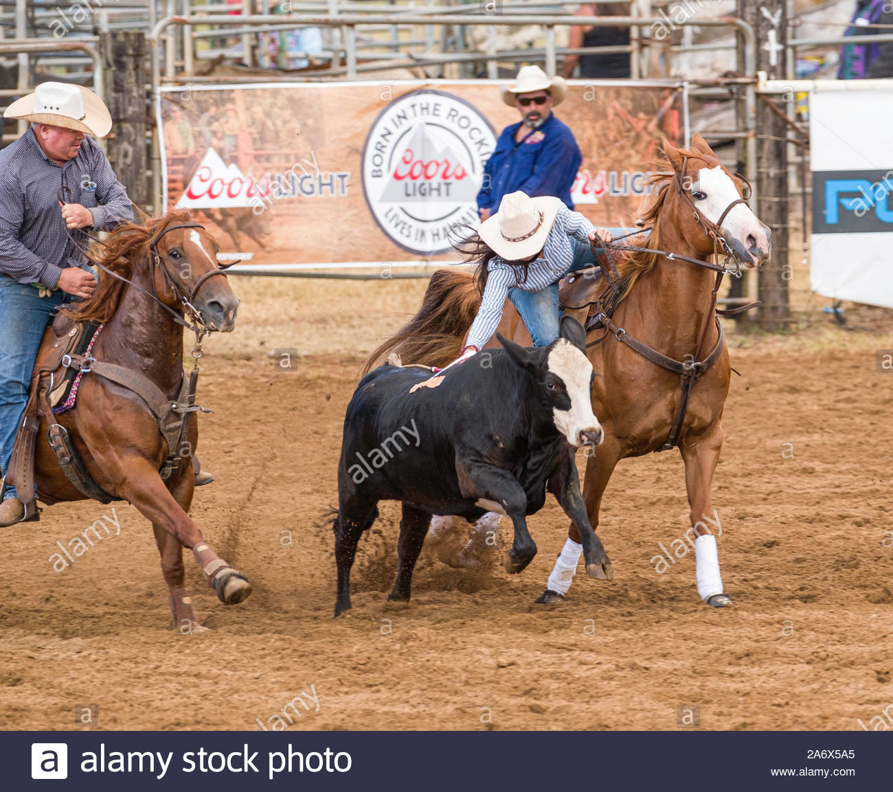 Oskie High Resolution Stock Photography and Images - Alamy