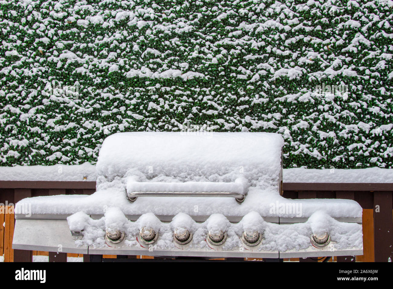 Snow covered barbeque during a snow storm, bbq cover with snow Stock ...