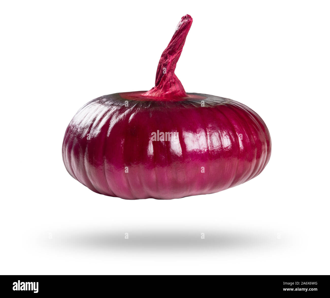 Isolated onion. One red whole onion isolated on white background with ...