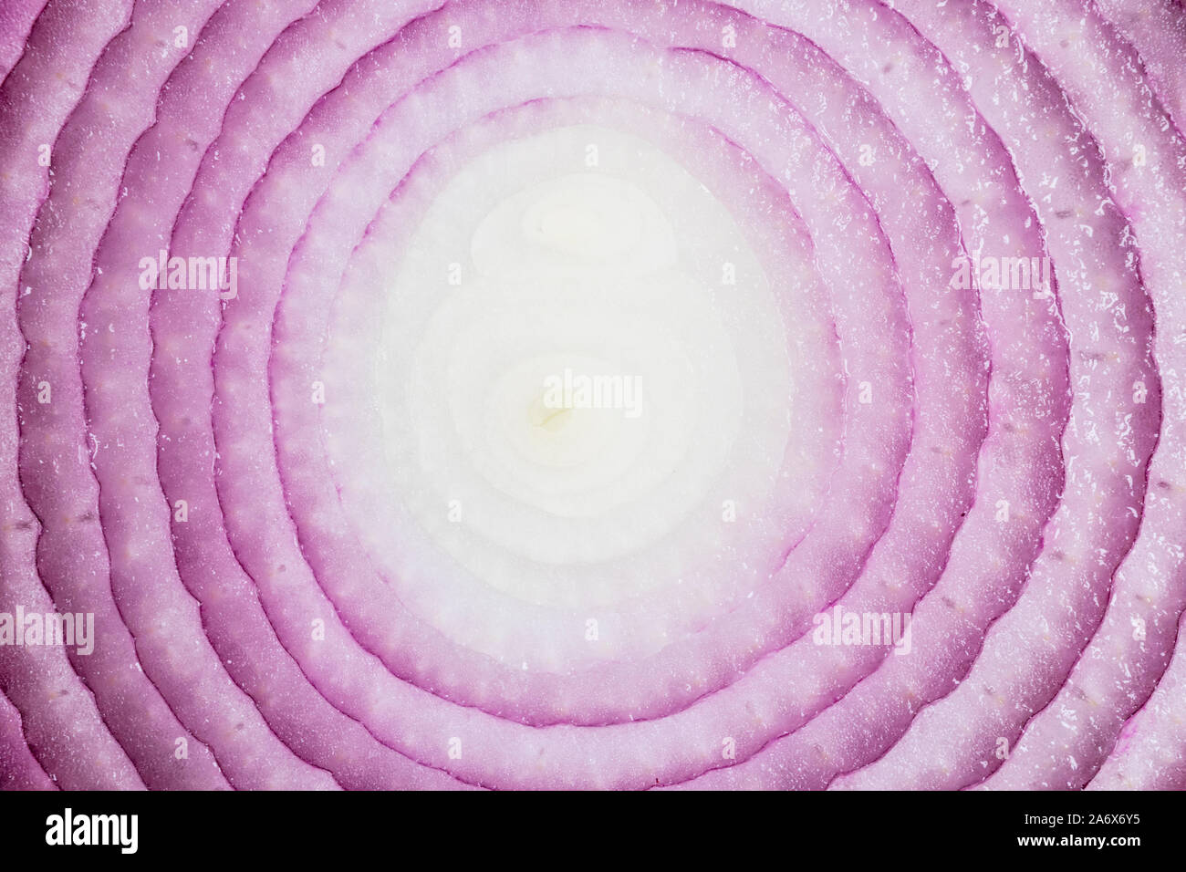 Slices Isolated onion. One red whole onion isolated on white background ...