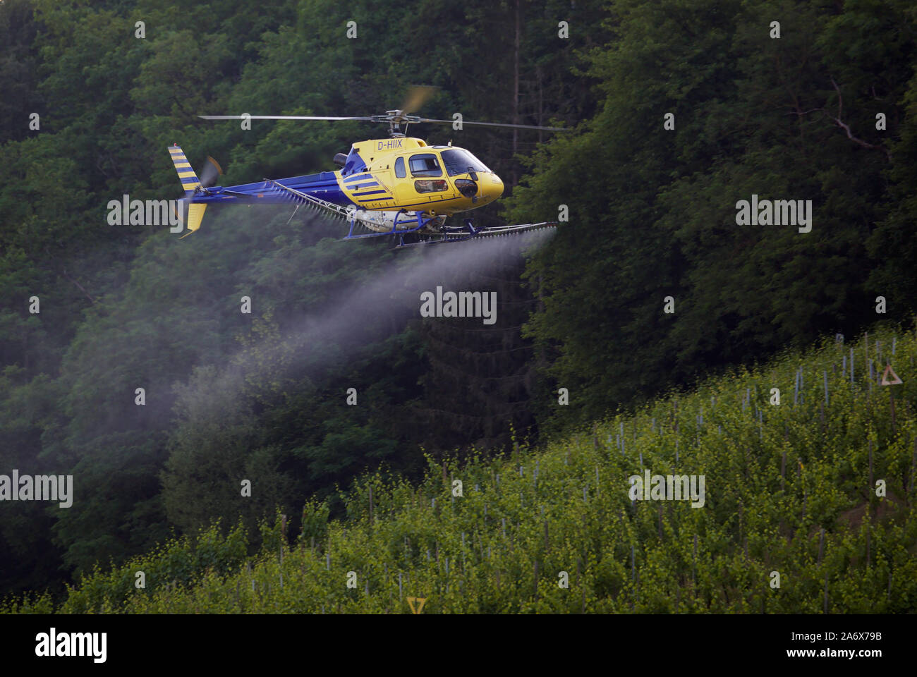 Helicopter spraying chemical on wine platage Stock Photo - Alamy