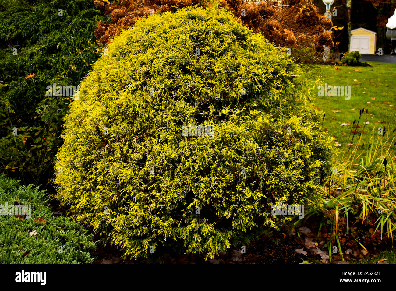 Fall in love with the world hi-res stock photography and images - Alamy