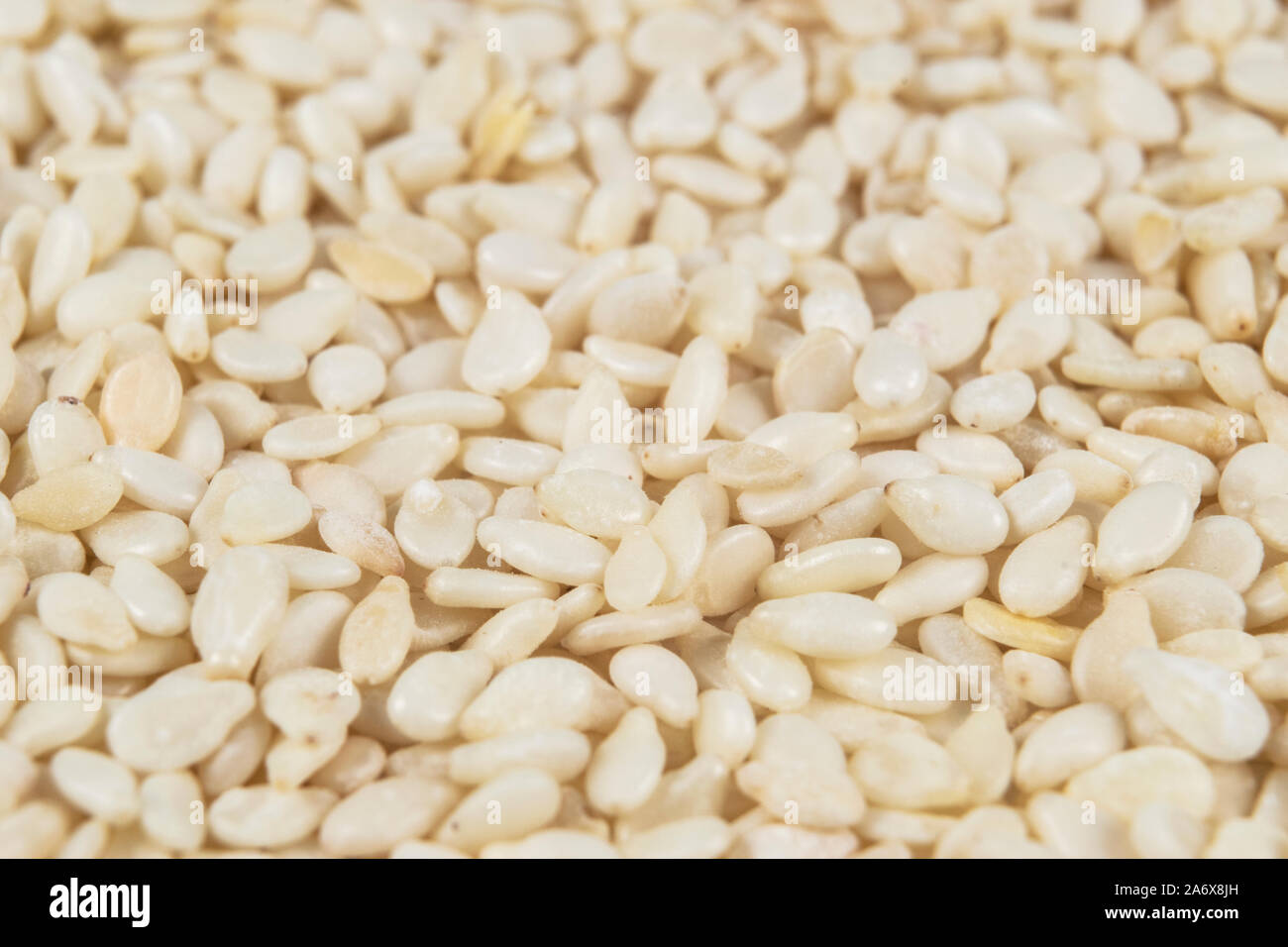 Macro shot of a raw white sesame seed background. Top view. Food ...